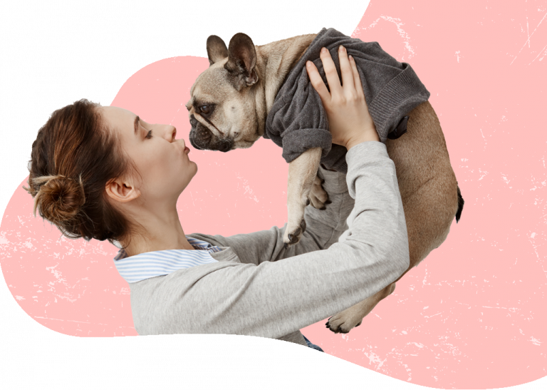 Pet Express Frequently Asked Pet Travel Questions Answers Pet Express Frequently Asked Pet Travel Questions Answers